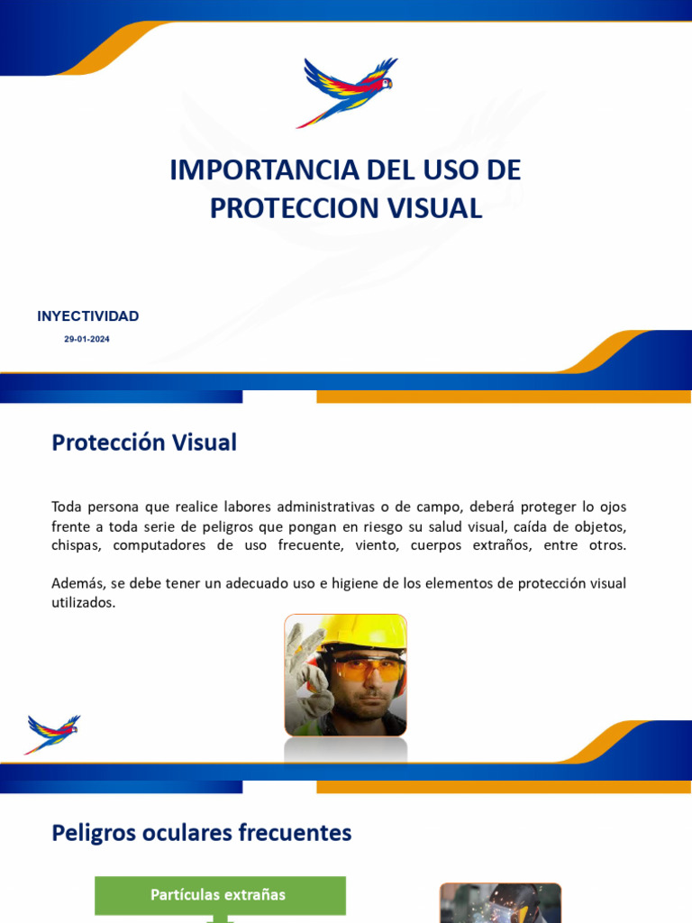Importancia Del Uso de Proteccion Visual | PDF