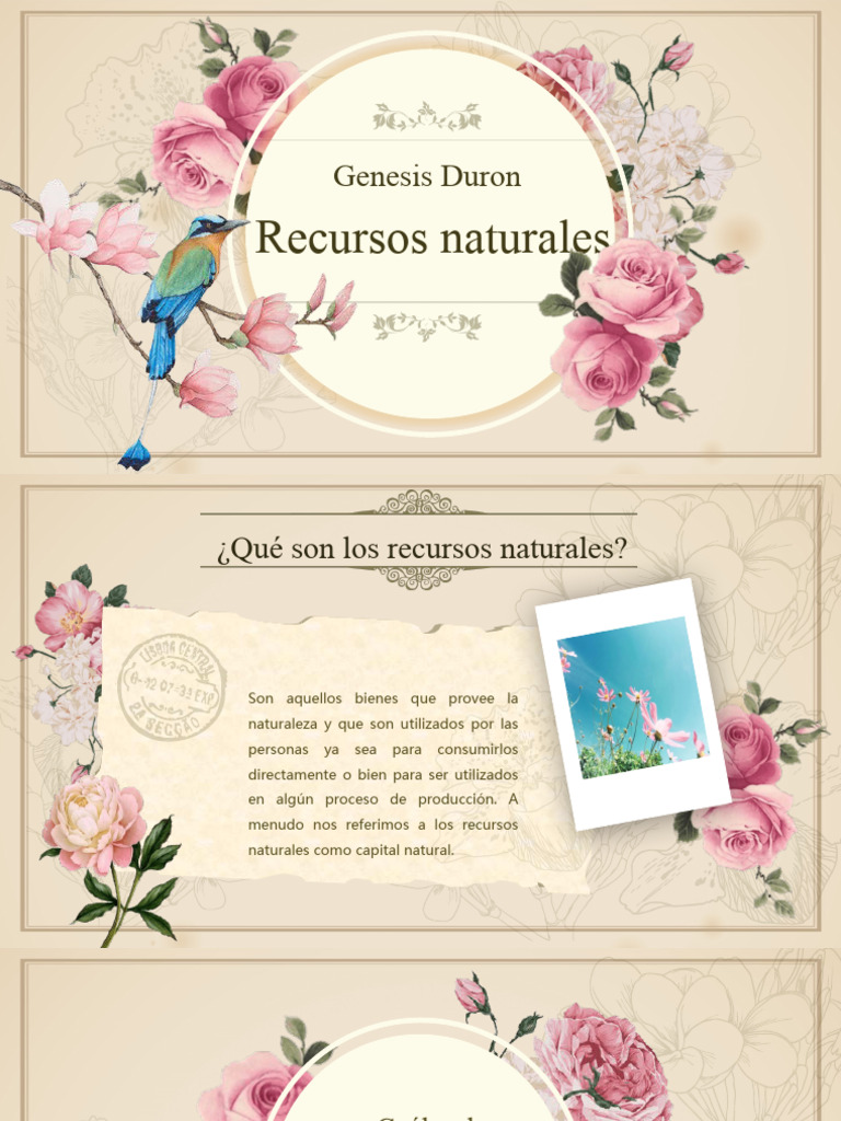 Clasificación de Recursos Naturales | PDF