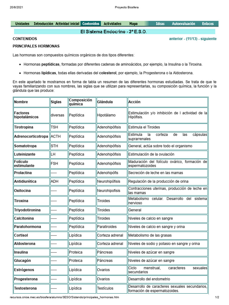 Principales Hormonas y Funciones | PDF | Hormona luteinizante ...