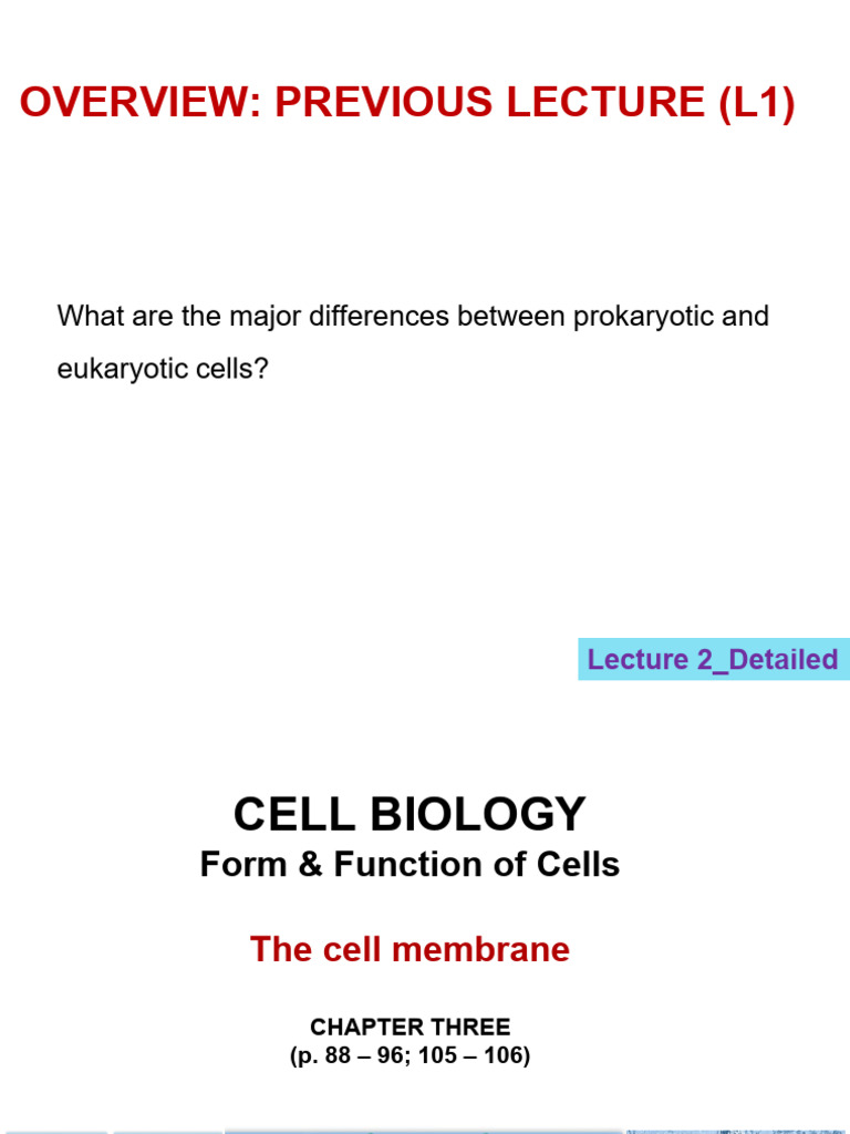 L2 the+Cell+Membrane | PDF | Cell Membrane | Osmosis