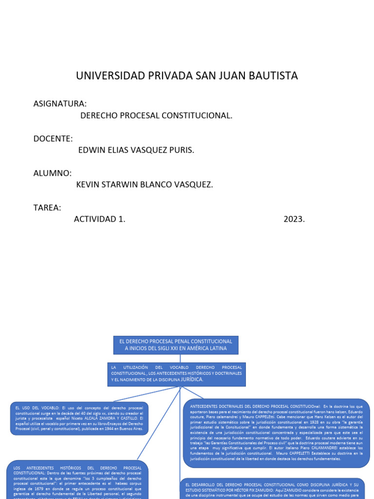 Mapa Conceptual Actividad 1 | PDF | Ley procesal | Constitución