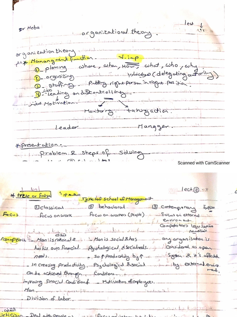 Organization Lectures | PDF