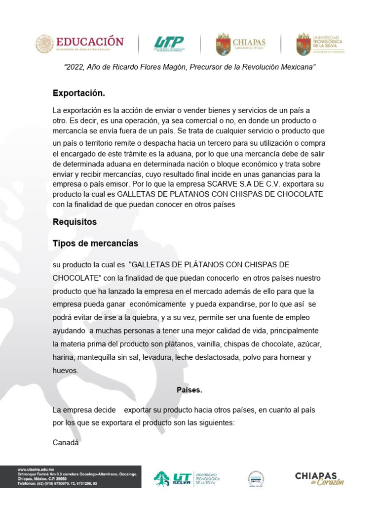 EXPORTACION RA Comercio Exterior - Docx 3.1 | PDF | Economias | Comercio