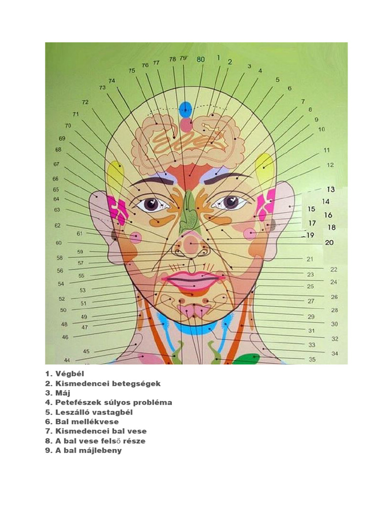 Arctérkép Pattanások Testrészenként | PDF