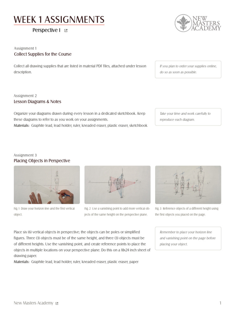 Perspective-1 Week 1 Assignment LT v4 | PDF