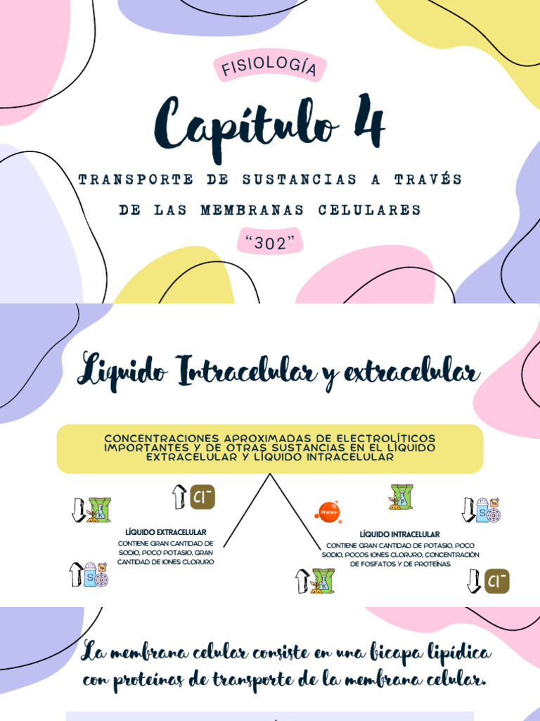 Capítulo 4 Guyton | PDF | Bicapa lipídica | Canal de iones