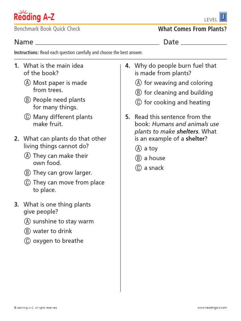 1677 Comprehension Check. What Comes From Plants | PDF | Plants