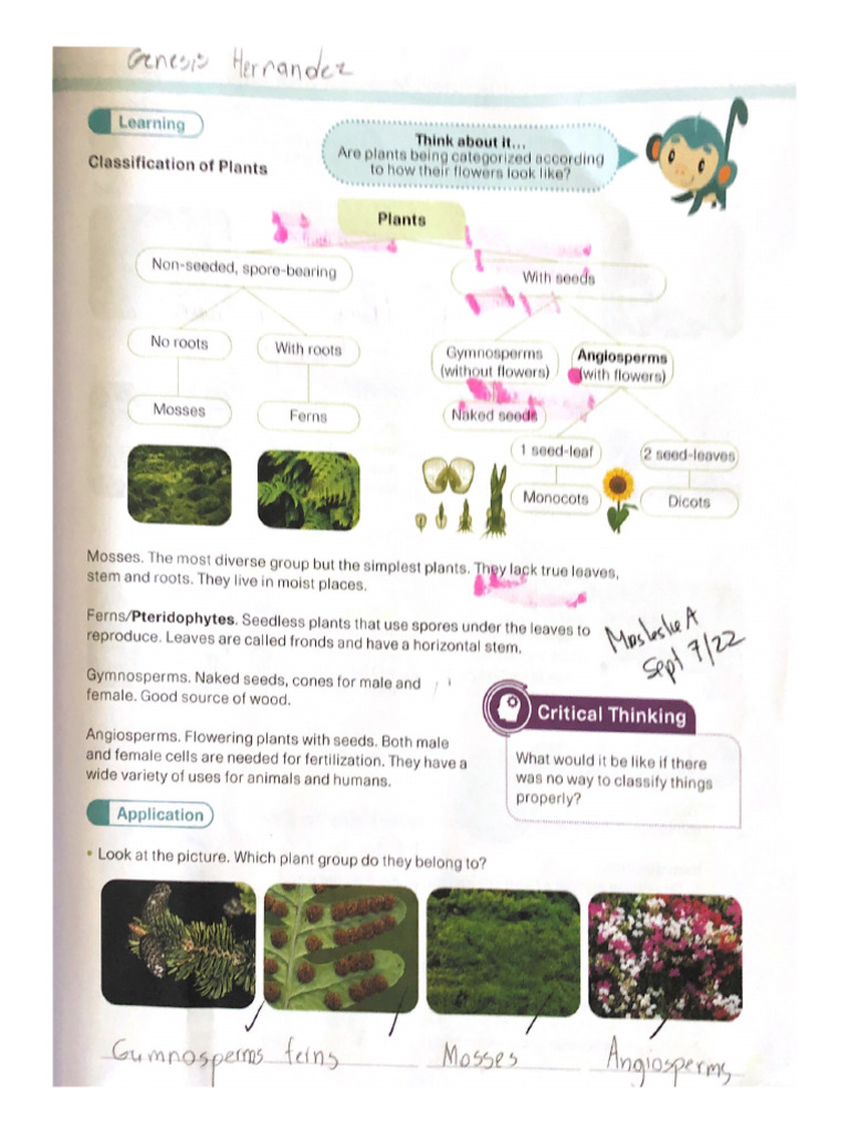 Science Classwork | PDF