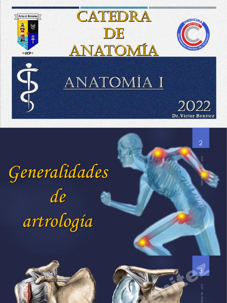 Generalidades de Artrología | PDF