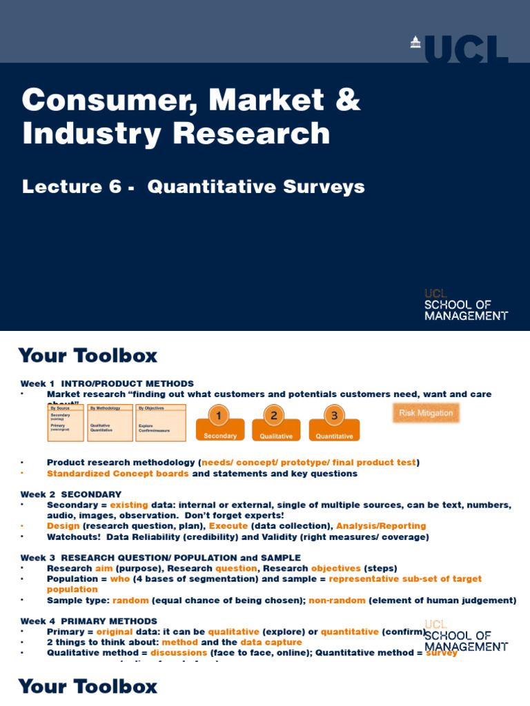 Quantitative Surveys in Market Research | PDF | Survey Methodology ...