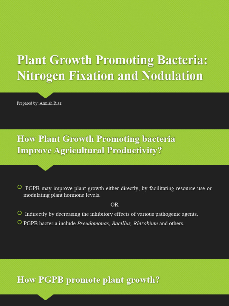 Plant Growth Promoting Bacteria Overview | PDF | Organisms | Botany