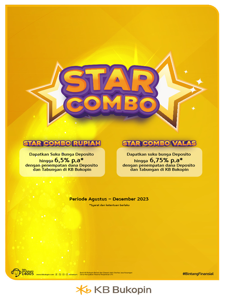 Eflyer Star Combo | PDF