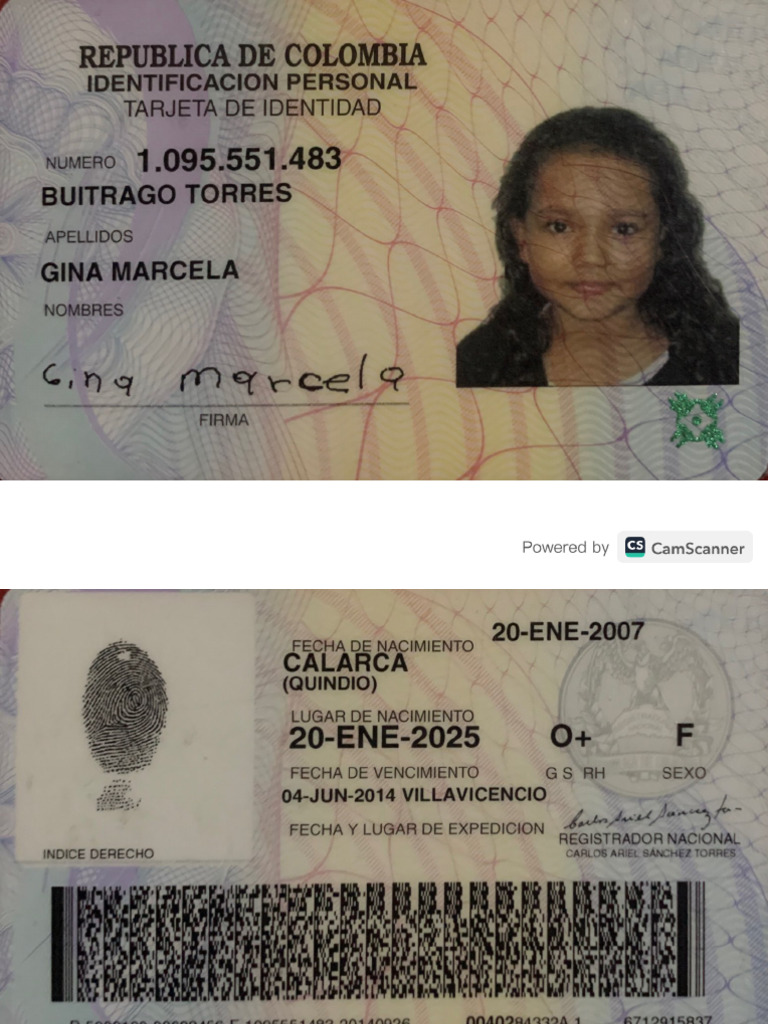 Documento de Identidad PDF | PDF