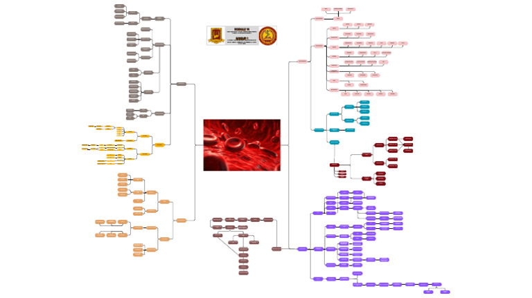 Module 14 Group 1 Concept Map | PDF | Red Blood Cell | White Blood Cell