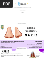 Anatomía y Fisiología de Nariz y Senos Paranasales | PDF | Nariz humana | Otorrinolaringología