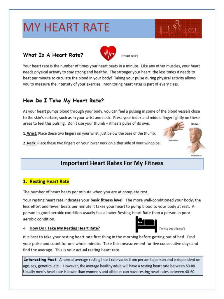 Heart Rates | PDF