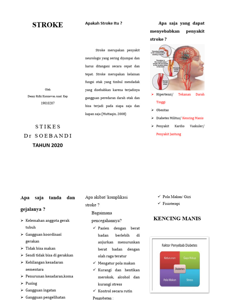 Panduan Dasar Stroke | PDF