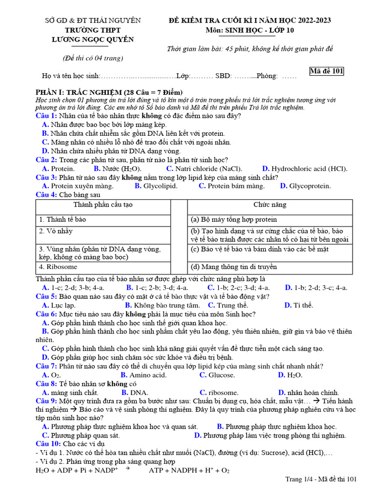 De Cuoi Ki 1 Sinh Hoc 10 Nam 2022 2023 Truong Luong Ngoc Quyen Thai Nguyen | PDF