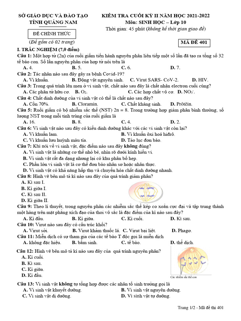 De Kiem Tra Cuoi Hoc Ky 2 Sinh Hoc 10 Nam Hoc 2021 2022 So GDDT Quang Nam | PDF
