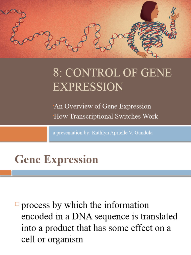 Gene Expression Control Overview | PDF | Gene | Gene Expression