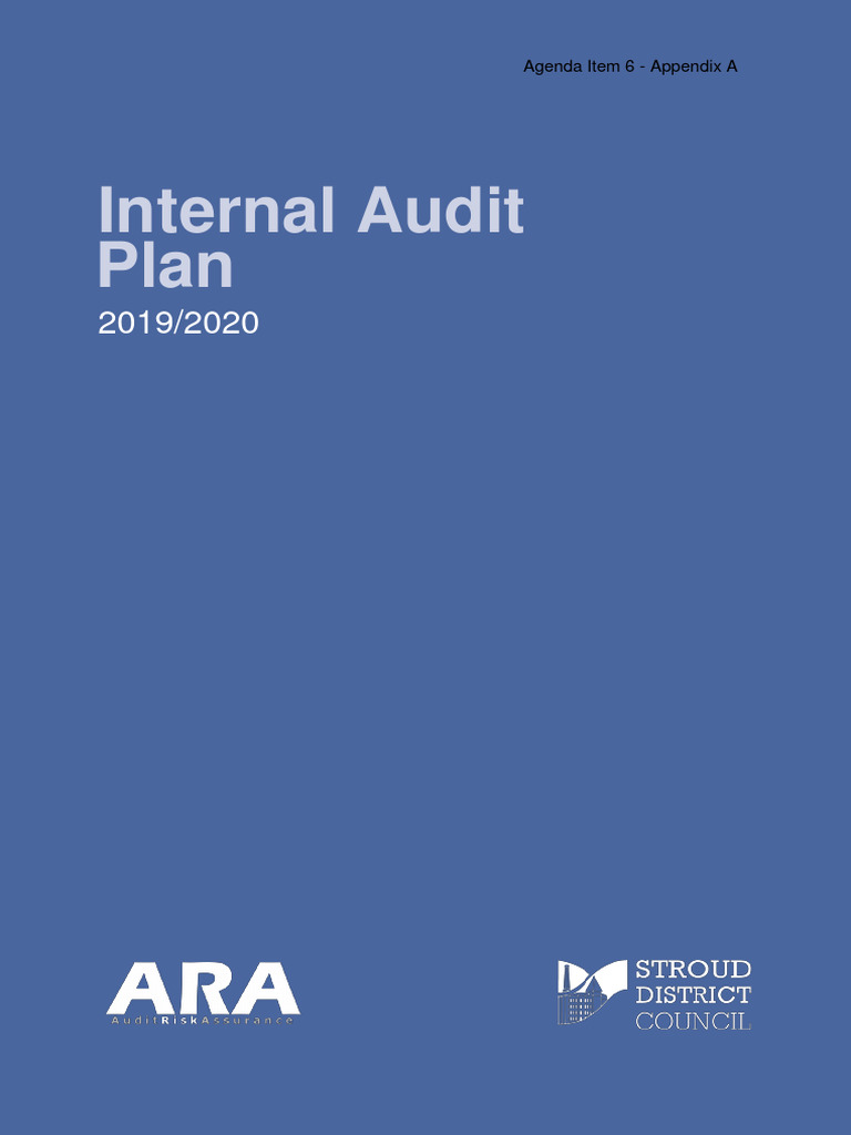 Internal Audit Plan | PDF | Internal Audit | Audit
