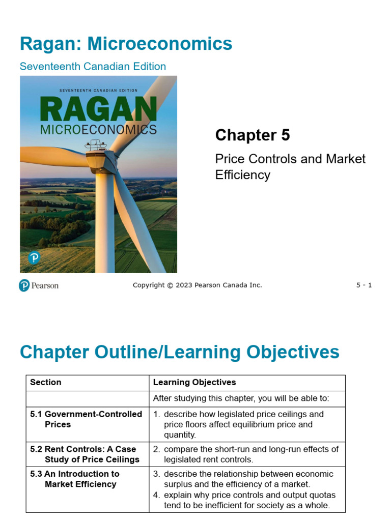 ECON201 - Chapter 5g | PDF | Business