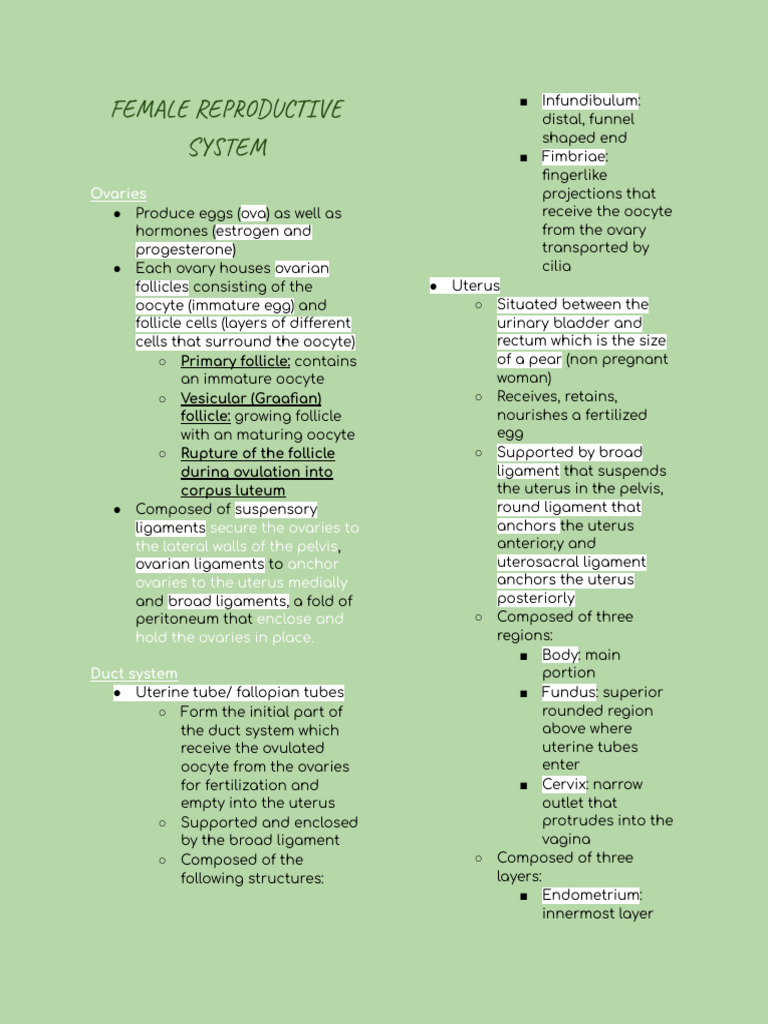 Female Reproductive System | PDF | Ovary | Uterus