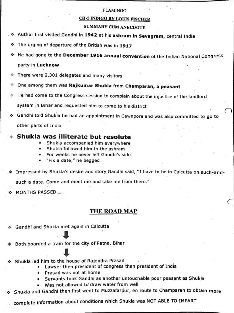 Indigo Revision Notes | PDF