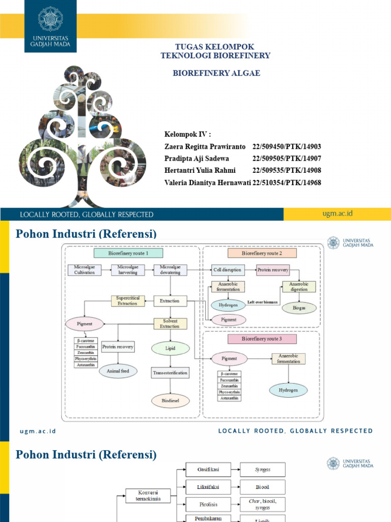 Kelompok IV - Biorefinary Algae 2 | PDF | Algae Fuel | Biorefinery