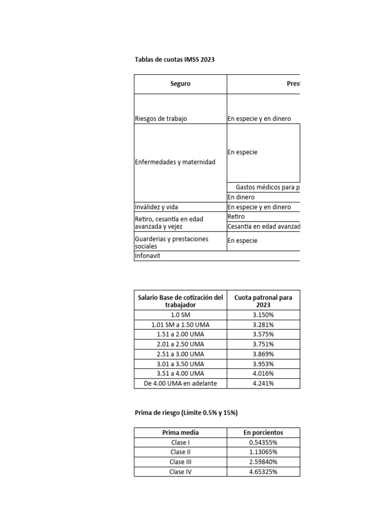 Ejemplo Imss Formato Vertical | PDF