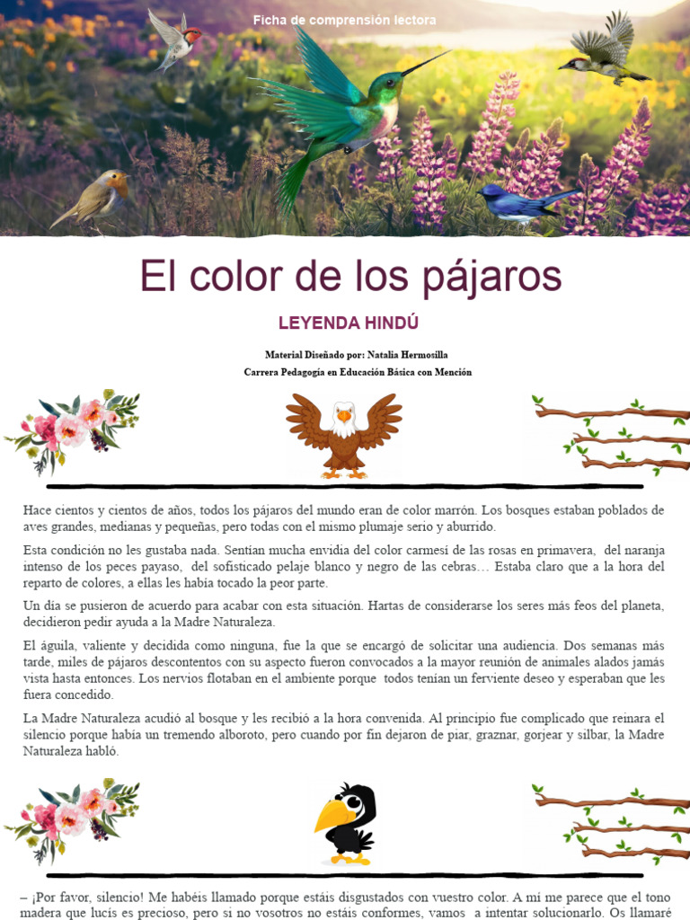 El color de los pájaros | PDF | Aves | Ornitología