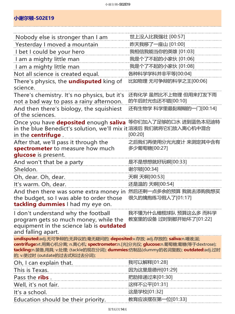 Sheldon Runs for Class President | PDF