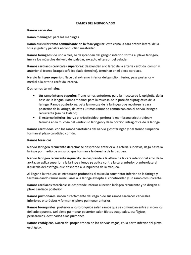 Ramos del Nervio Vago y Accesorio | PDF | Nervio vago | Laringe