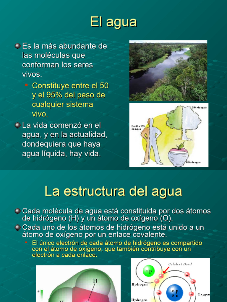 Estructura y propiedades del agua | PDF | Propiedades del agua | Agua