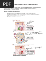 Entendendo a Quimiotaxia | PDF | Quimiotaxia | Sistema imunológico
