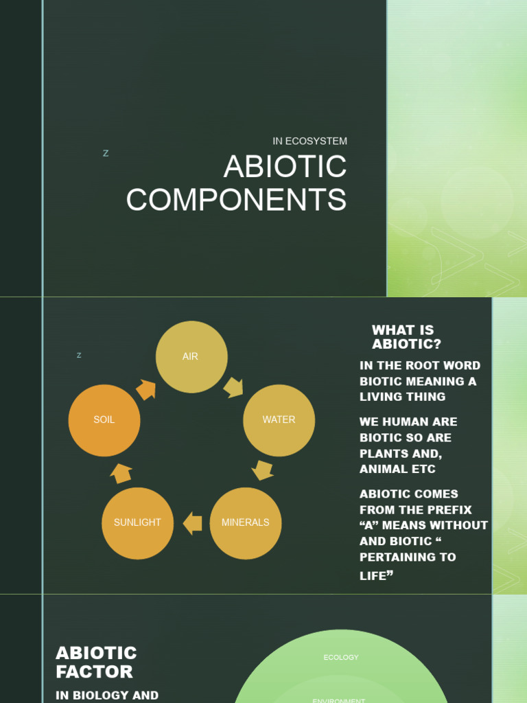 Abiotic Components in Ecosystem g4 | PDF | Science & Mathematics