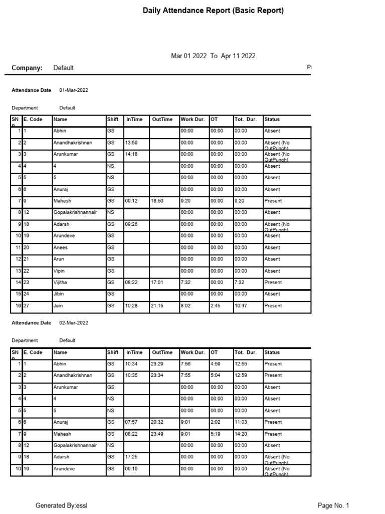 Daily Attendance Report | PDF