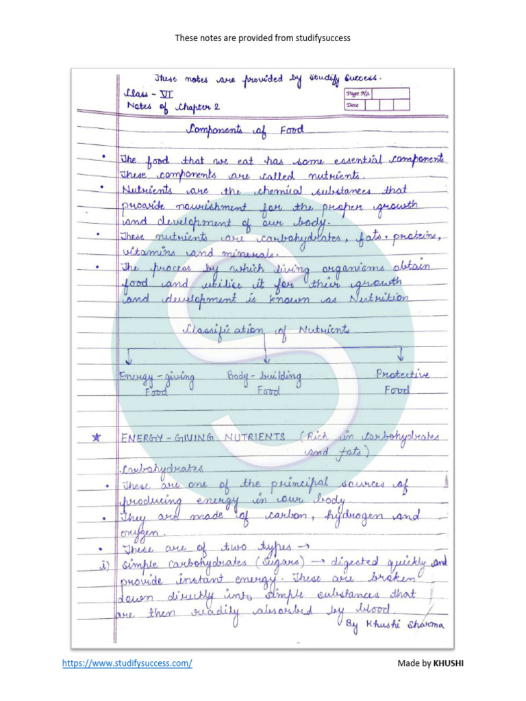 Class 6 Science ch-2 Notes | PDF