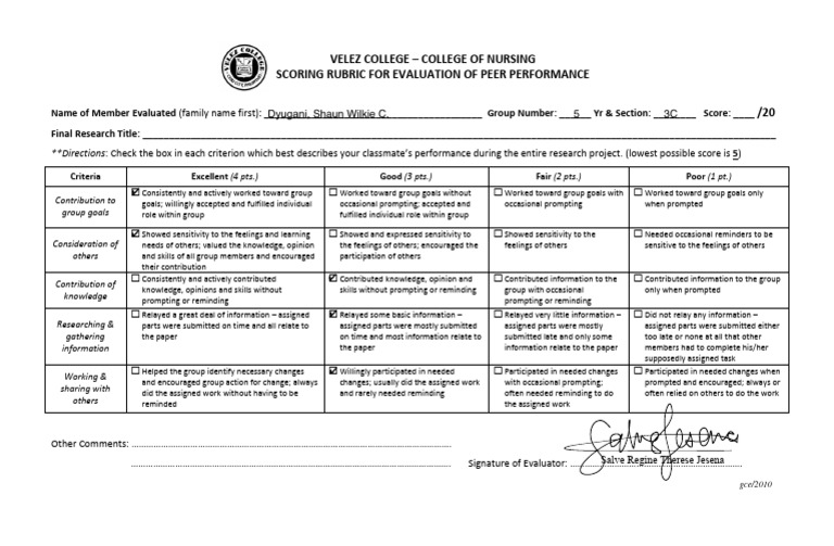 Evaluation of Peer Performance 2 | PDF | Learning | Cognition