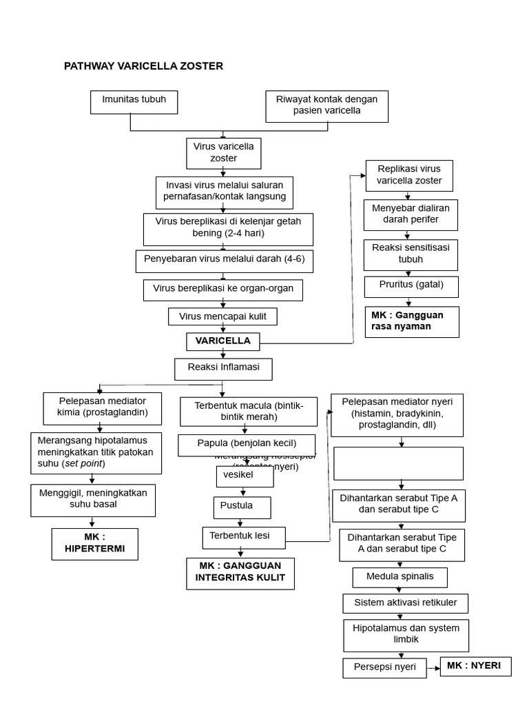 Pathway Varicella Zoster | PDF