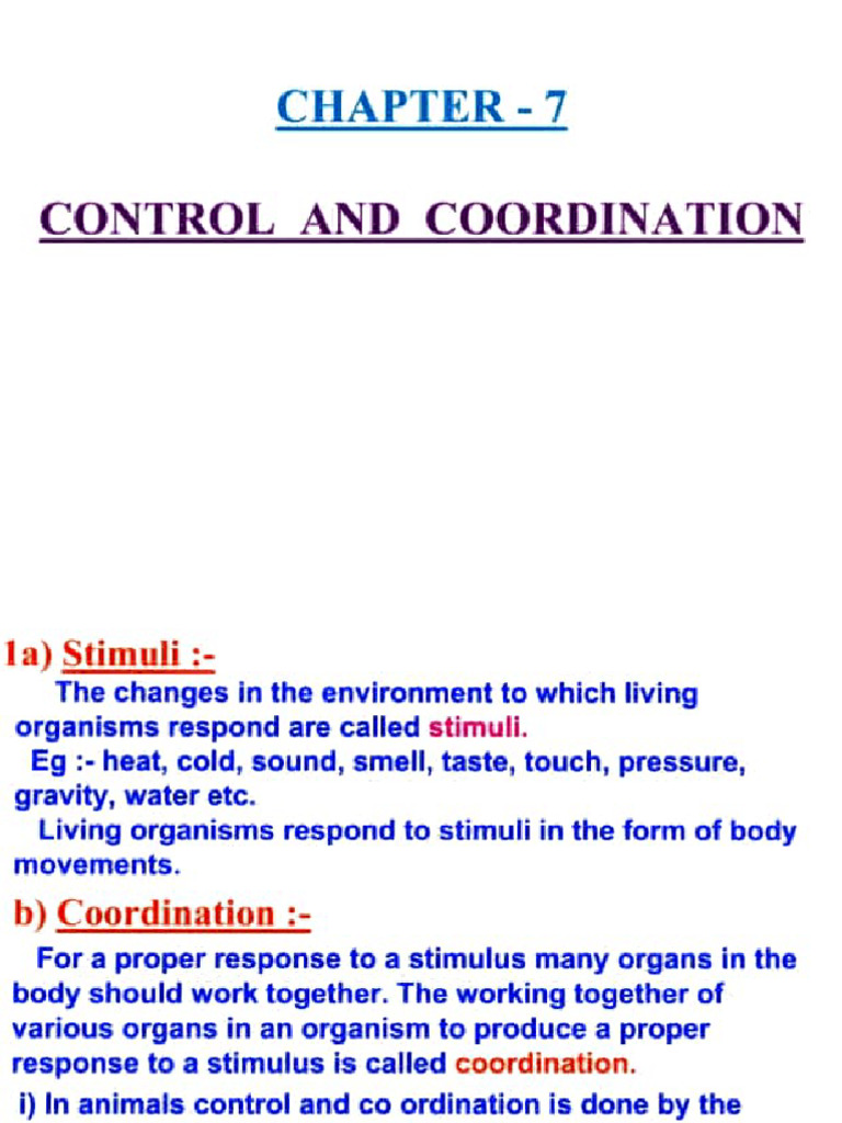 Control and Cordination | PDF