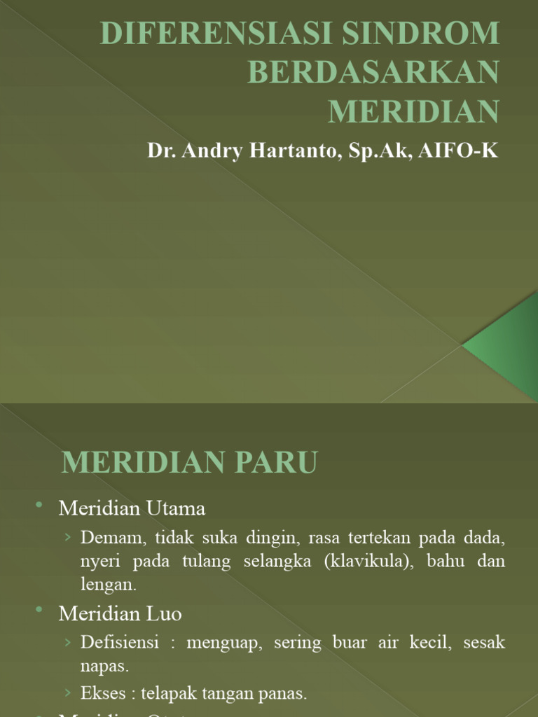 Diferensiasi Sindrom Berdasarkan Meridian | PDF