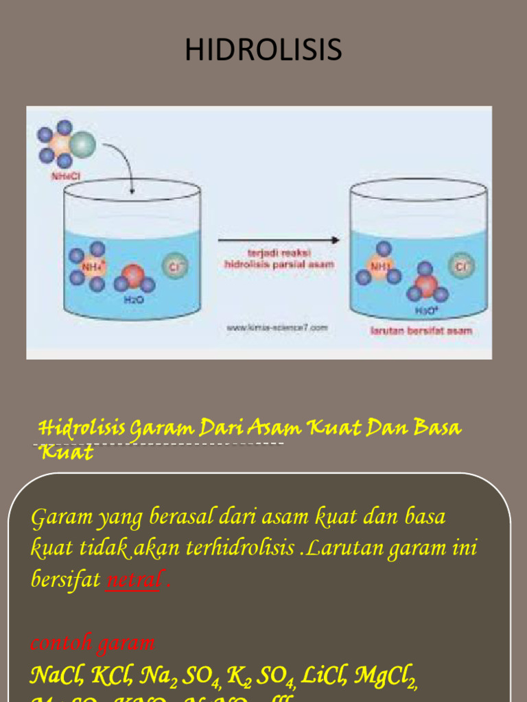Pertemuan 4. Hidrolisis | PDF