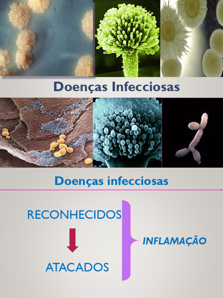1 - Doencas Infecciosas | PDF
