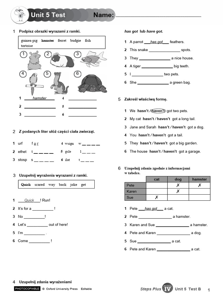 Unit 5 TEST English Plus 1 | PDF | Pet | Domestication