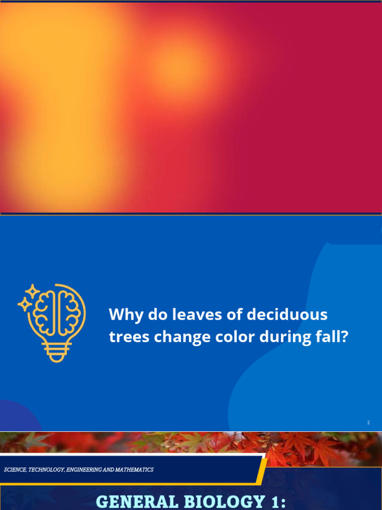 Gen Bio 1 Q2 Lesson 9.1 Pigments Student | PDF | Photosynthesis ...