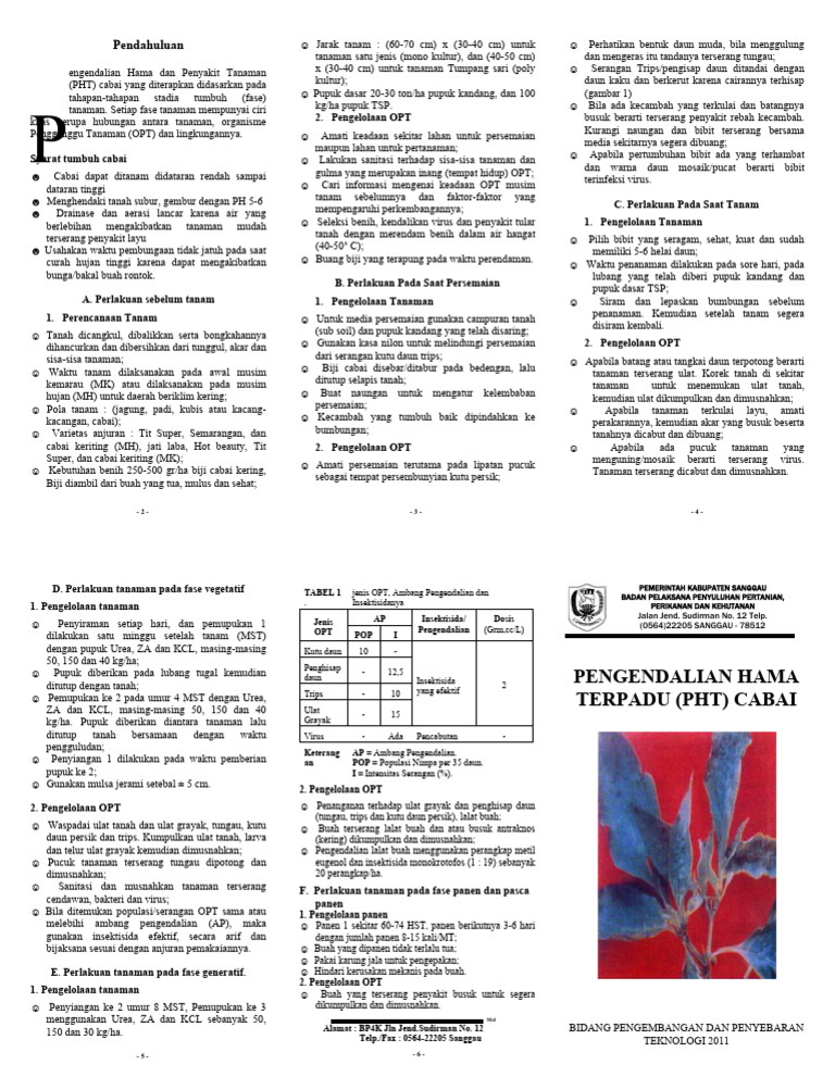 Folder PHT Cabai | PDF