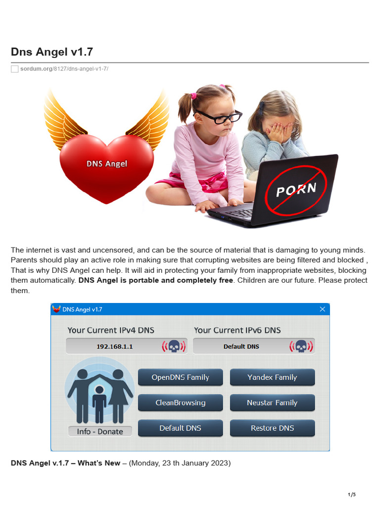 Dns Angel v17 | PDF | Microsoft Windows | Ip Address