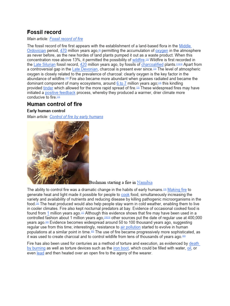 Fire 2 | PDF | Fires | Wildfire