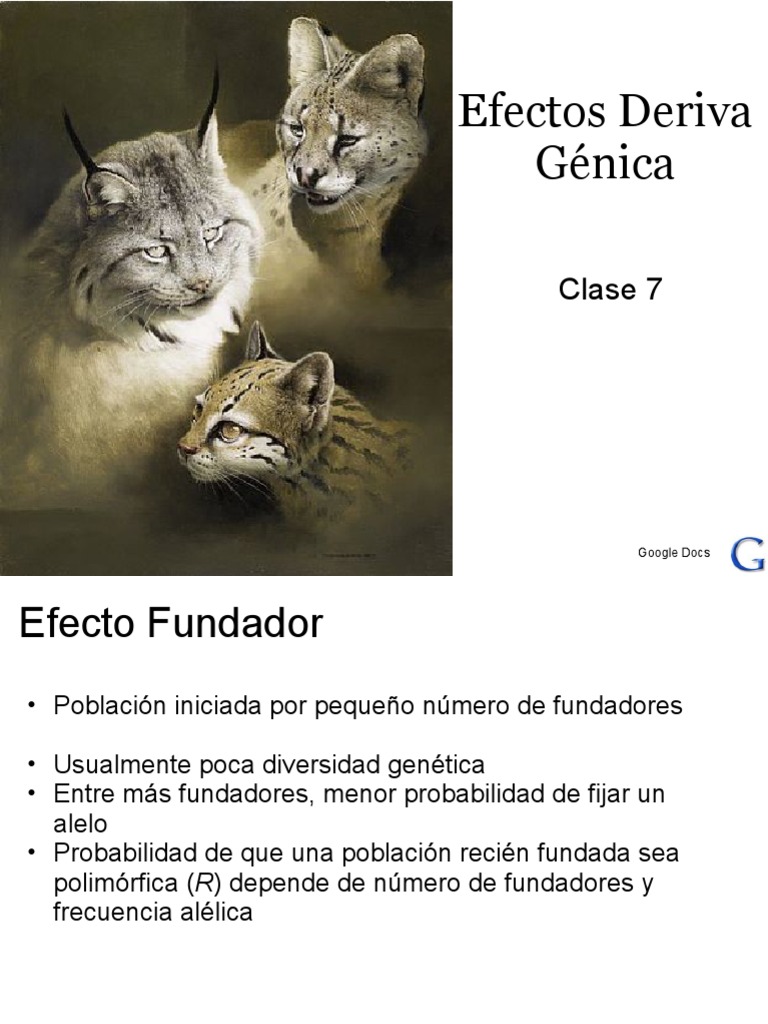 Clase 7 - Efectos Deriva Genica | PDF | Genética de Poblaciones ...